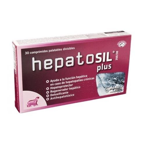 Hepatosil Plus